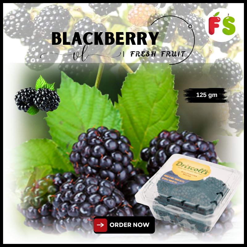 USA Blackberry 125g (Punnet) | 12 Pun/ctn 黑莓 – FS Fruity Pte Ltd