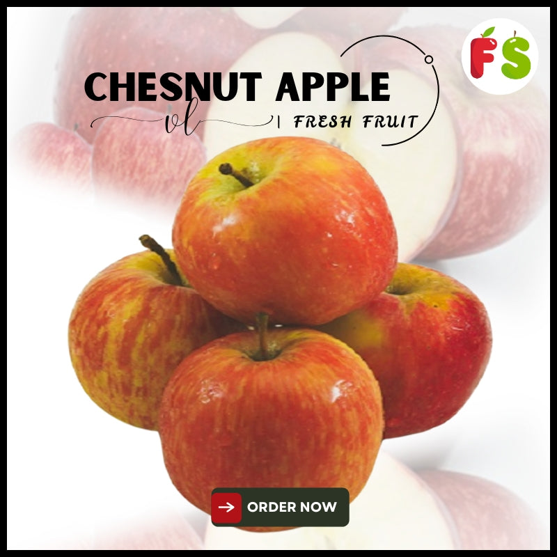 South Africa Chesnut Apple (Nice & Cruncy), 5pcs(PKT) – FS Fruity Pte Ltd